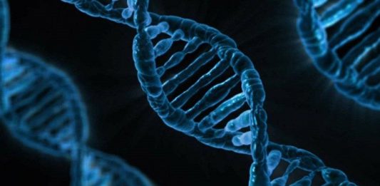 Noticias de destacado - IntelDig