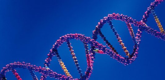 Noticias de genética - IntelDig